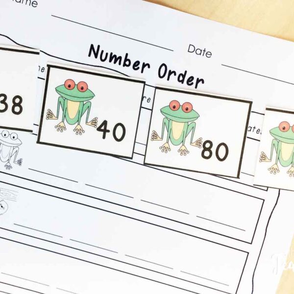 Rainforest Centers - The Teacher Bag