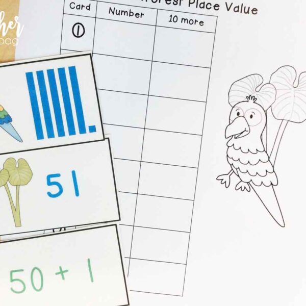 Rainforest Centers - The Teacher Bag