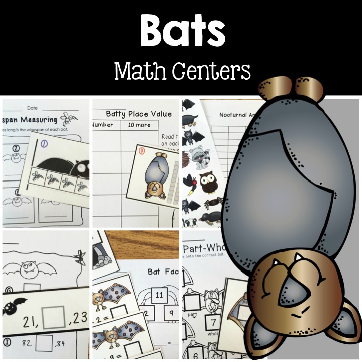 Nocturnal Animal Resources - The Teacher Bag