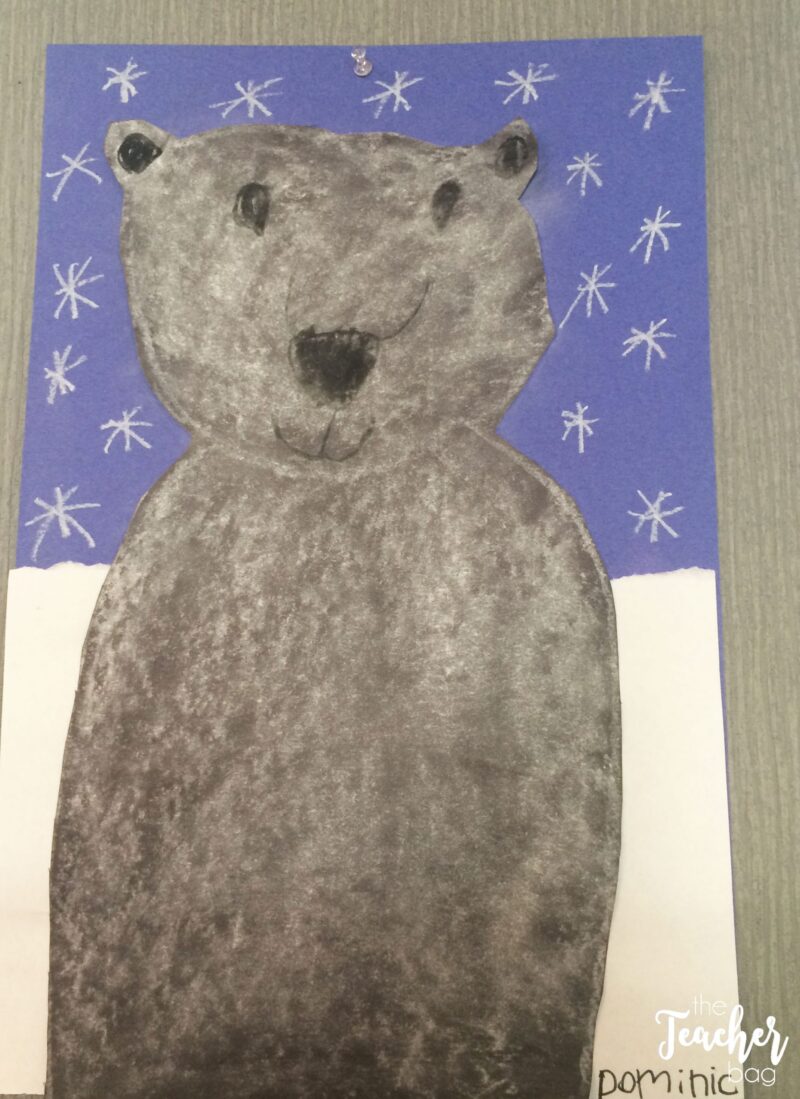 Polar Bear Resources - The Teacher Bag