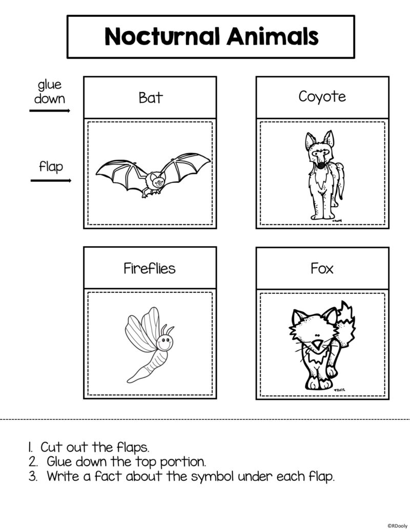 Nocturnal Animals Interactive Notebook - The Teacher Bag