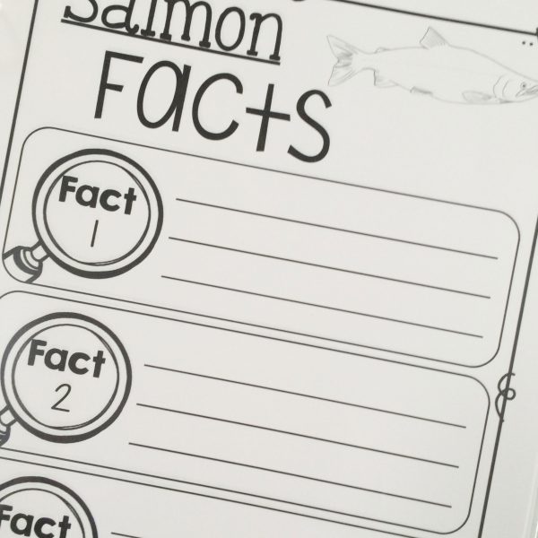 Salmon Resources - The Teacher Bag