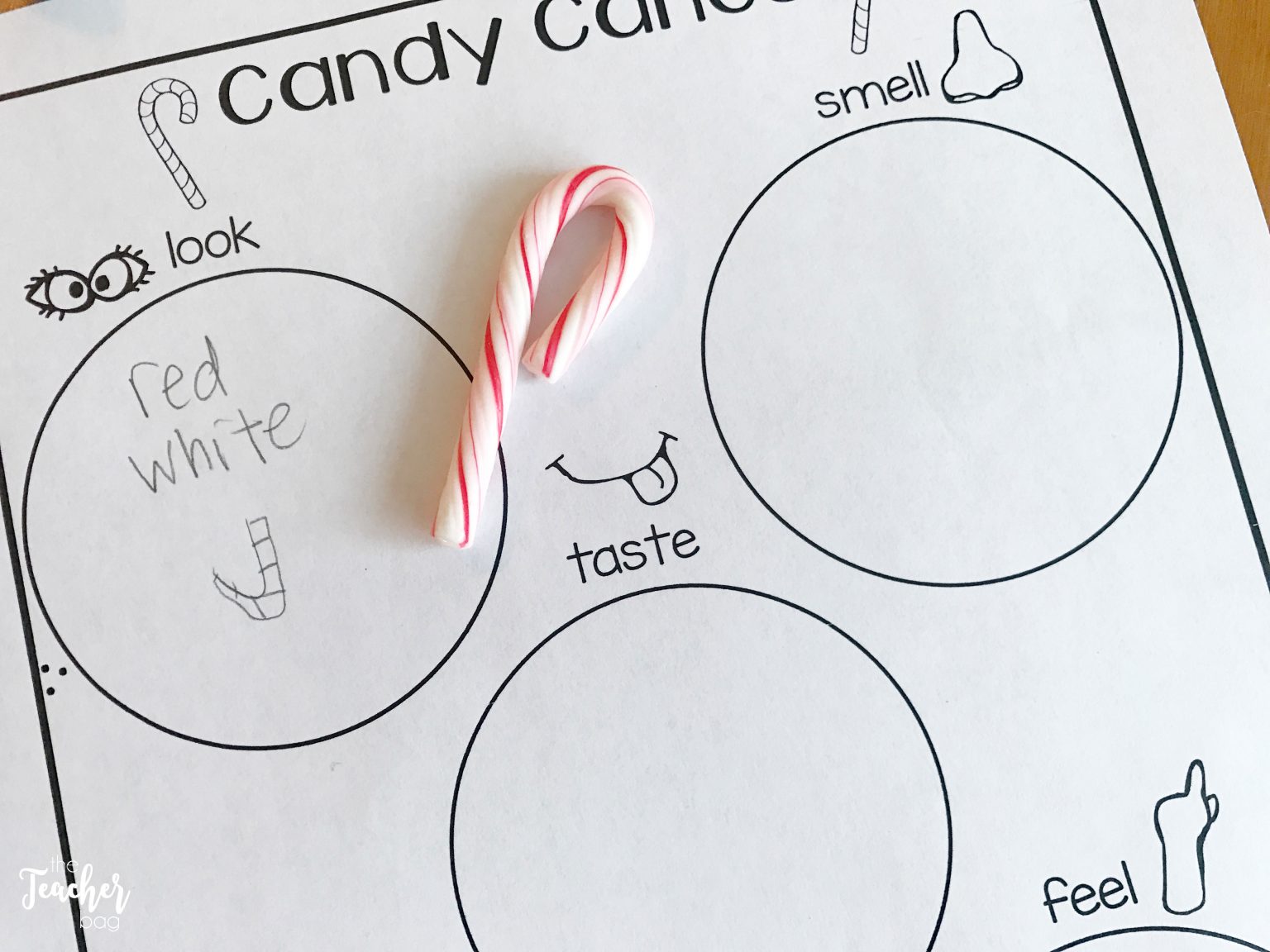Candy Cane Five Senses - The Teacher Bag