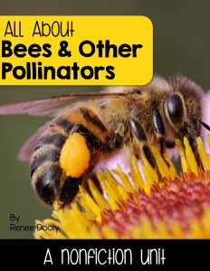 What's the Latest Buzz? Bee Resources - The Teacher Bag