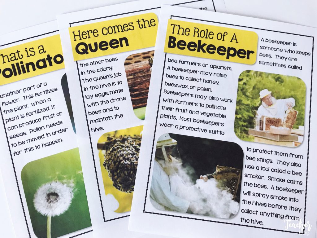 What's the Latest Buzz? Bee Resources - The Teacher Bag