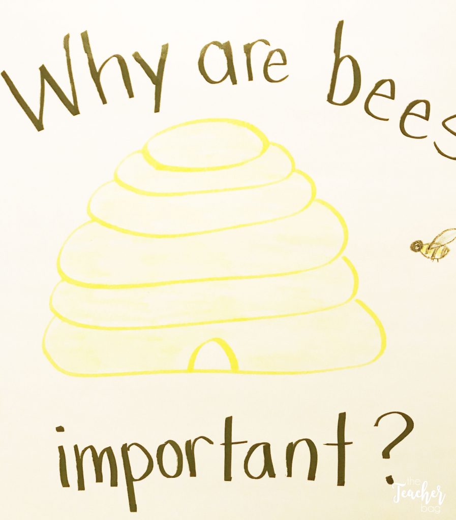 What's the Latest Buzz? Bee Resources - The Teacher Bag