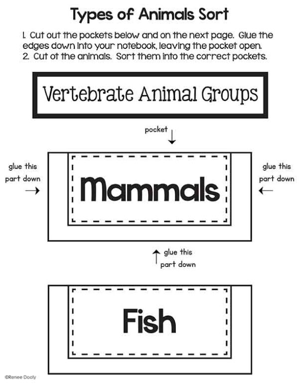 Animal Classification Interactive Notebook - The Teacher Bag