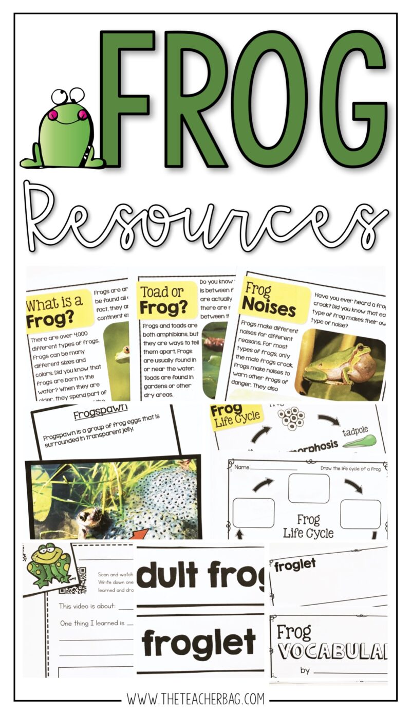 Interactive Frog Resources for the Classroom - The Teacher Bag