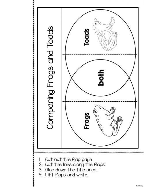 Frogs Interactive Notebook - The Teacher Bag